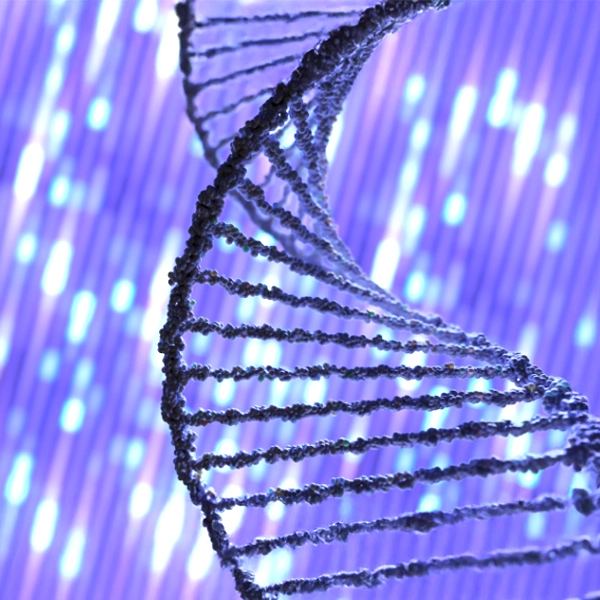 Patent Searches - Ingenious-e-Brain