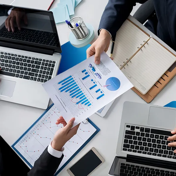 Consulting Services - Ingenious-e-Brain