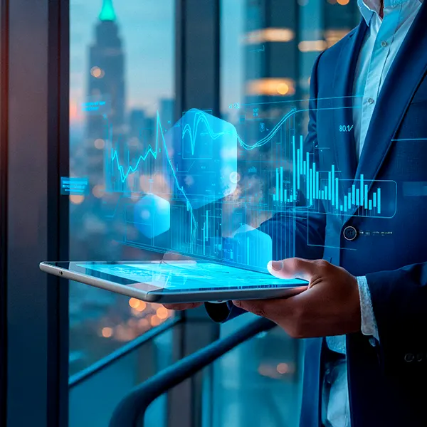 Consulting Services - Ingenious-e-Brain